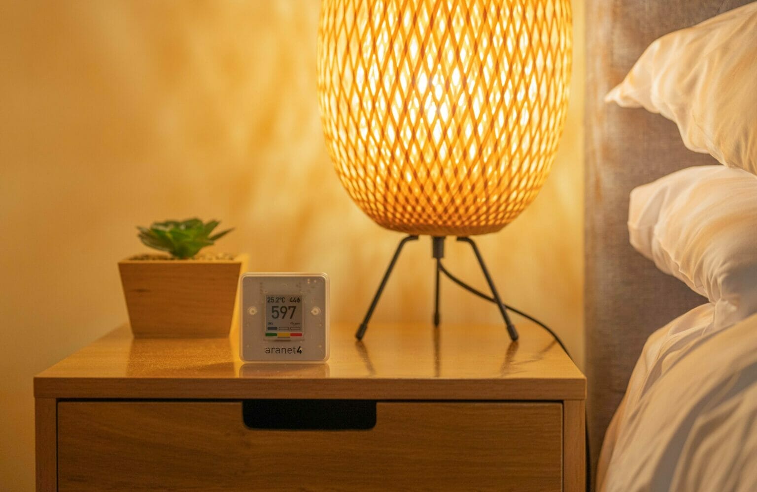 Aranet4 Home Review - The Best Carbon Dioxide Monitor?